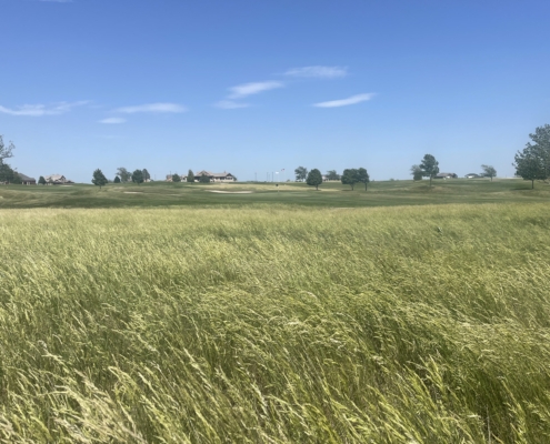 Course Map - The Ridge Golf Club